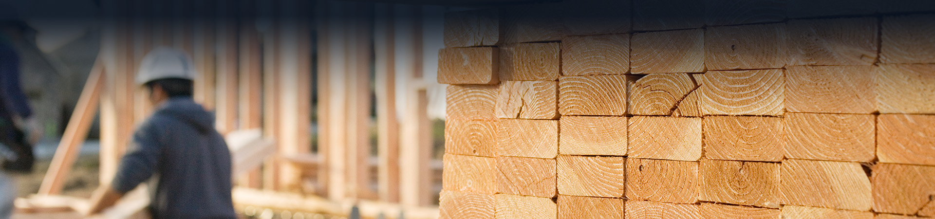 Material Issues - Australian Society of Building Consultants (Vic)